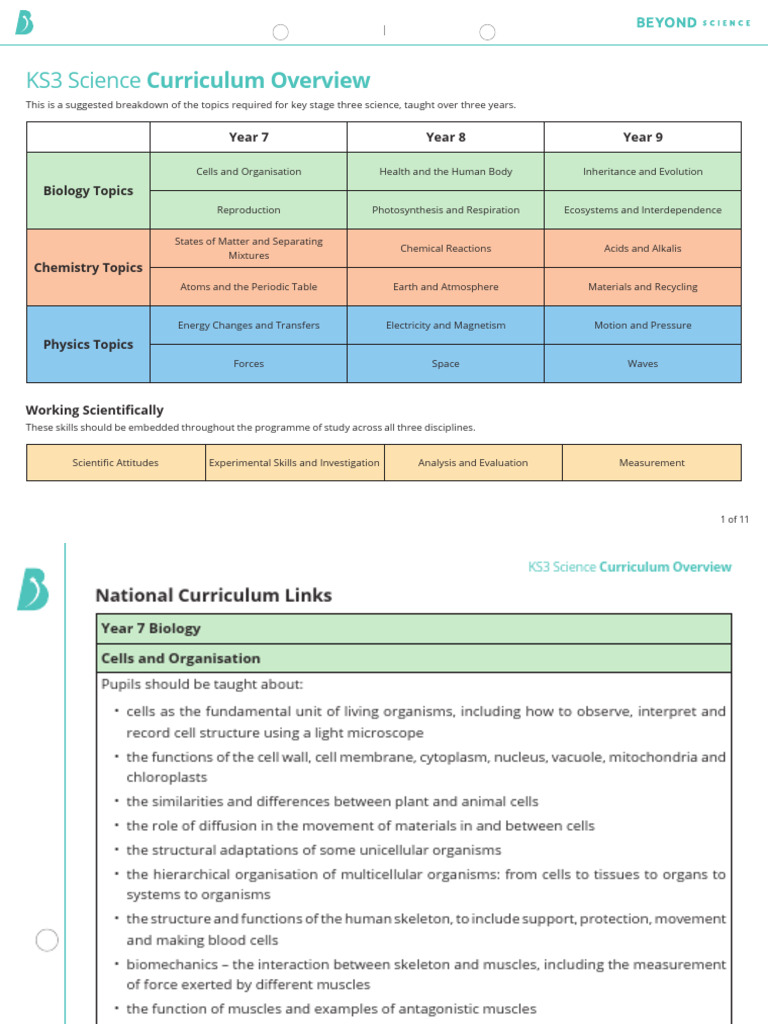 Three Year KS3 Science Curriculum Overview | PDF | Sound | Cell (Biology)