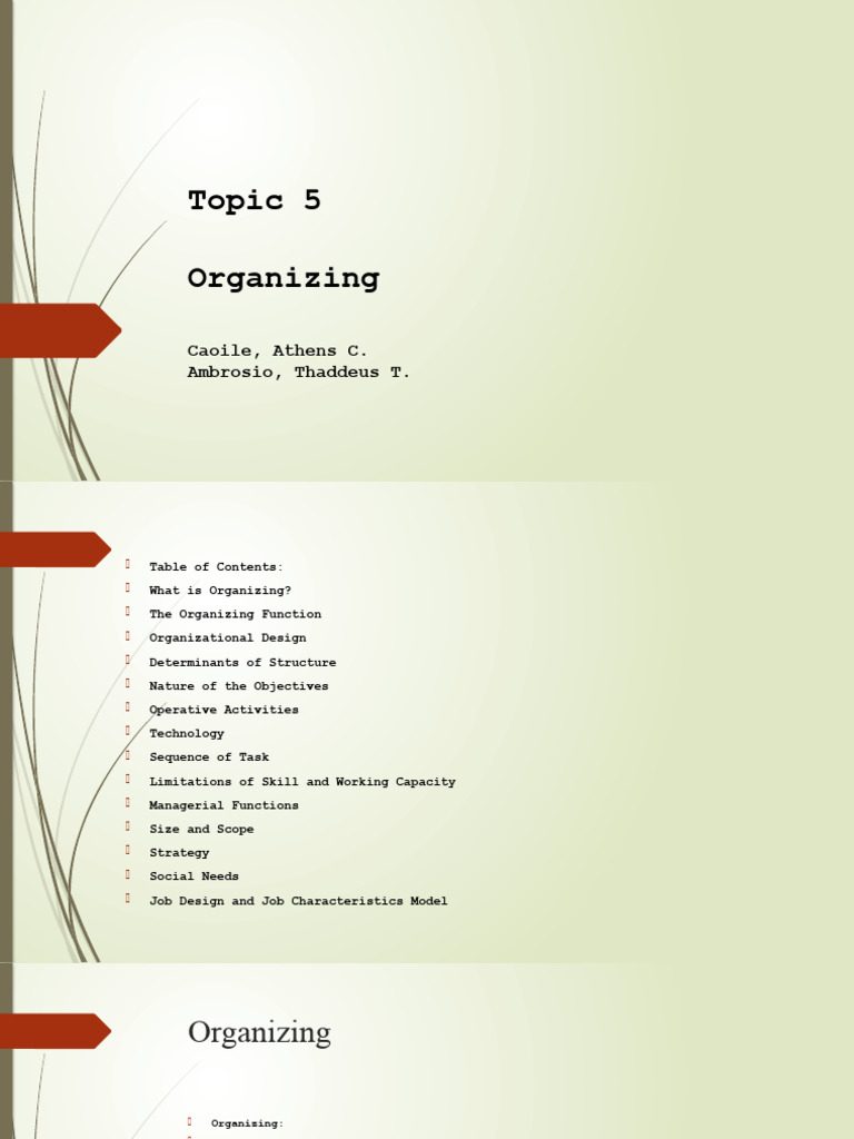TOPIC-5 Organizing | Download Free PDF | Occupational Stress | Motivation
