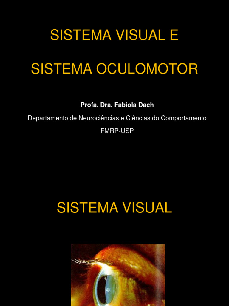Sistema Visual e Oculomotor | PDF | Bem-estar