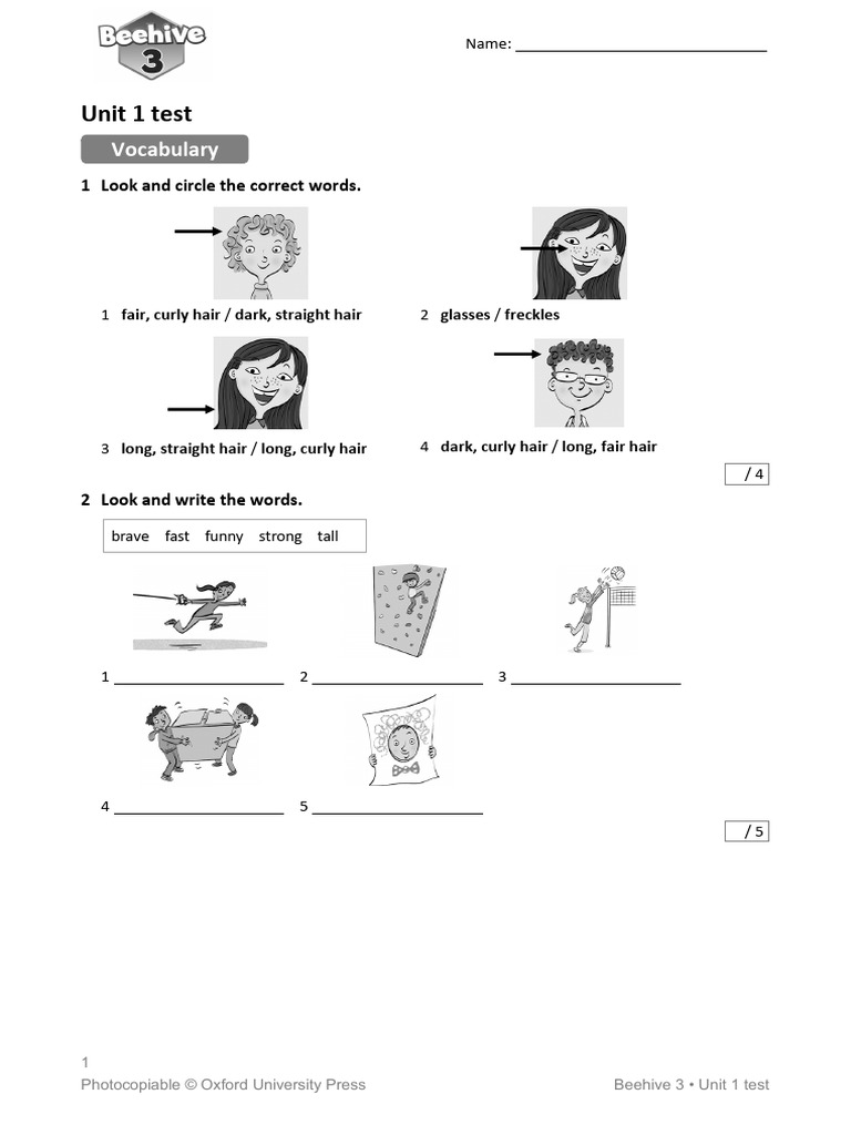 Beehive - Tests - Level 3 - Unit Test 1 | PDF | Linguistics
