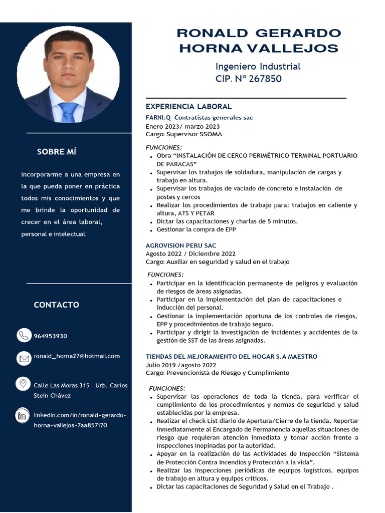 CV - Ronald Horna Vallejos | PDF | Business | La seguridad