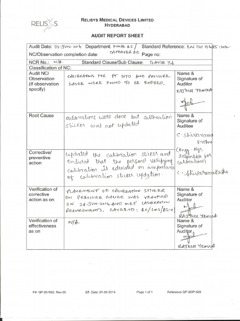 Internal Audit Report | PDF