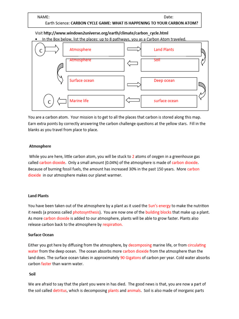 Carbon Cycle Game Answers | PDF | Carbon Cycle | Oceans