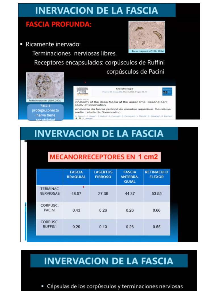 FASCIA EN REUMATOLOGIA | PDF