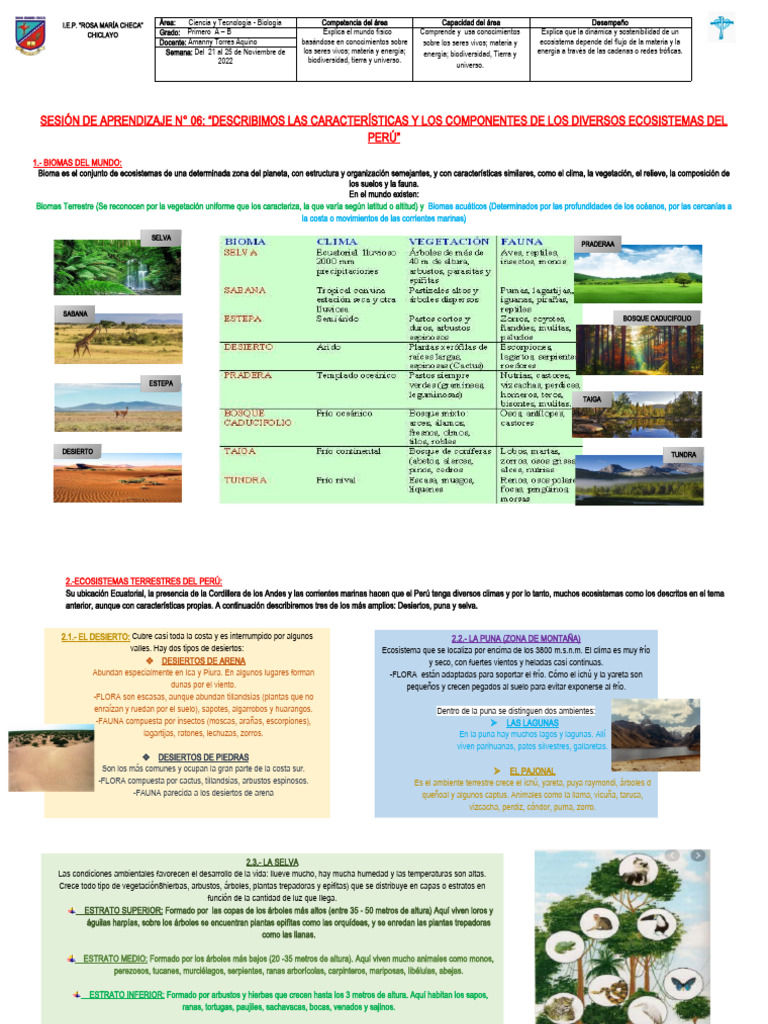 Ficha Informativa Act 06 Primero | PDF | Ecosistema | Selva
