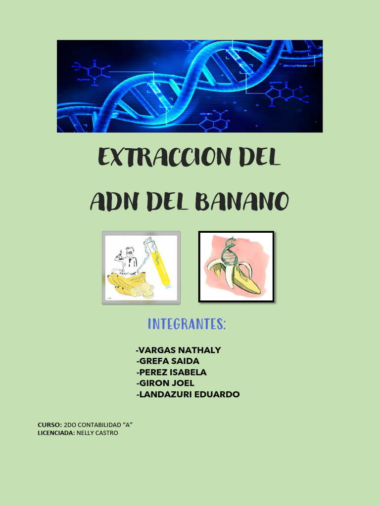 Extracción de ADN de Banano | PDF | Adn | Organismos