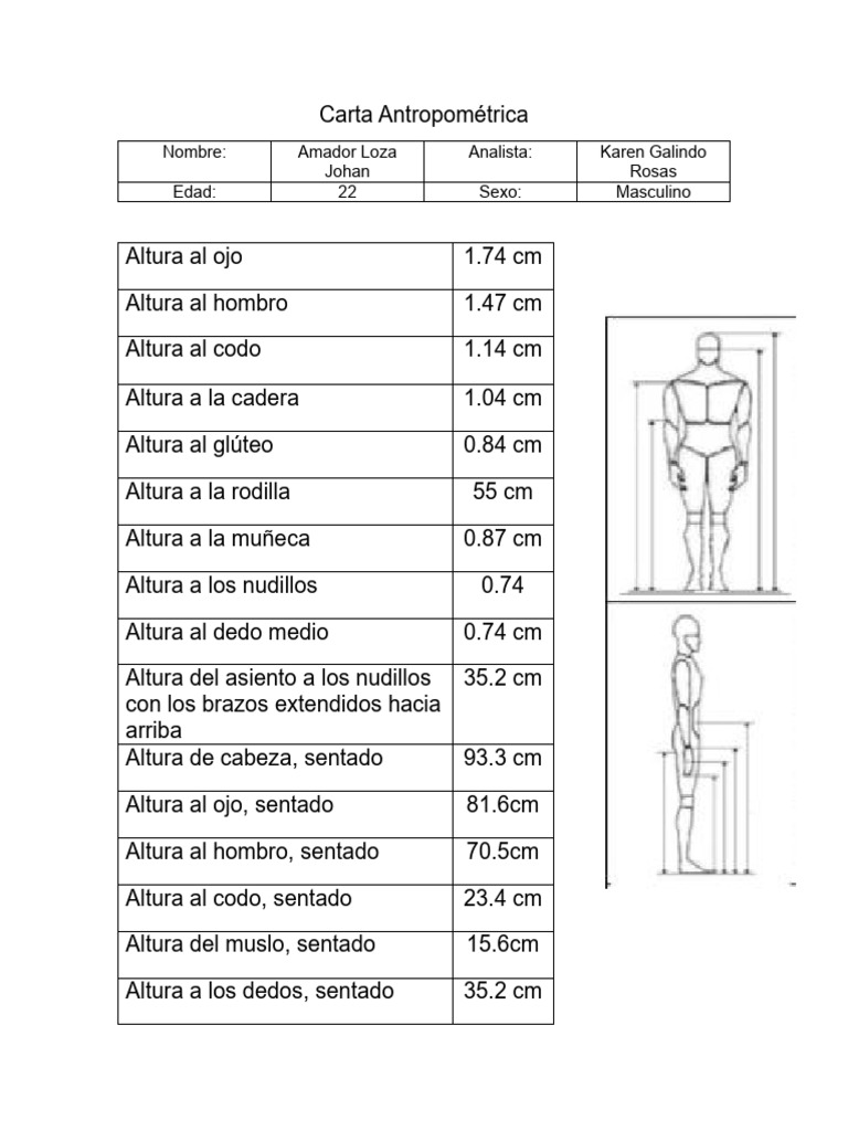 Carta Antropométrica de Alturas | PDF