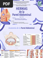 Incisión Rocky Davis | PDF | Medicina CLINICA | Anatomía