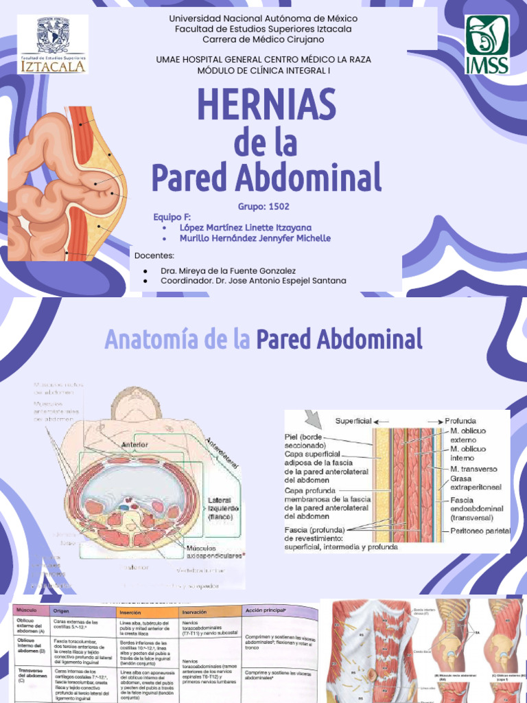 Hernias de La Pared Abdominal | PDF | Abdomen | Pelvis