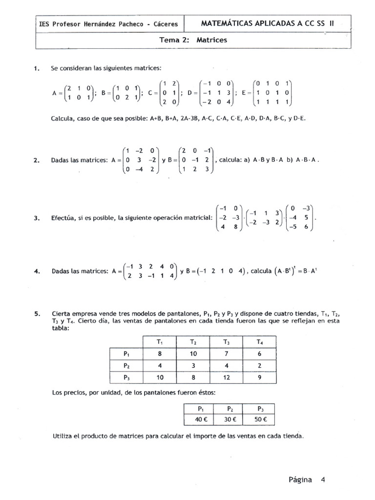 Ejercicios de Matrices | PDF