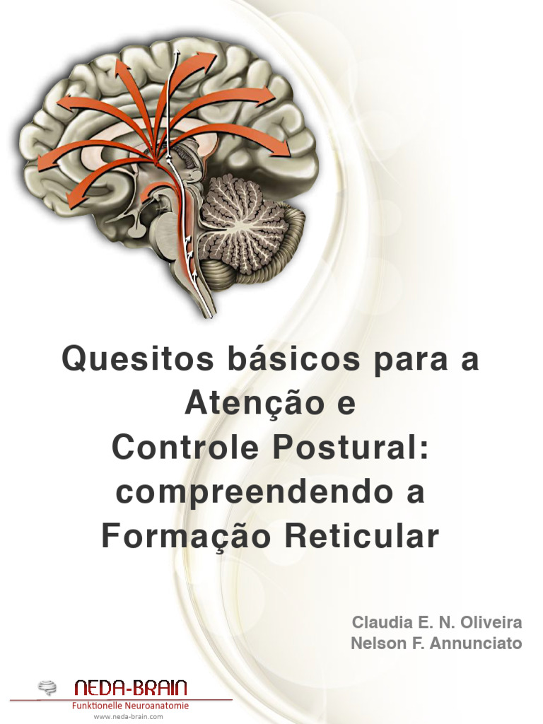 Ebook Formacao Reticular Neda Brain Pdf Cérebro Medula Espinhal
