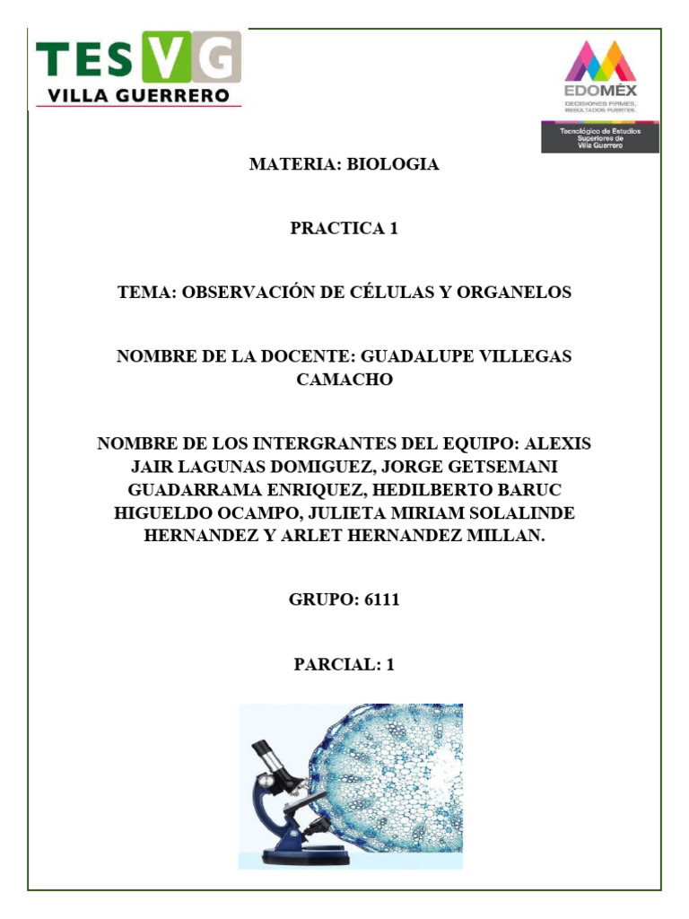 Práctica de Biología | PDF | Biología Celular) | Plantas