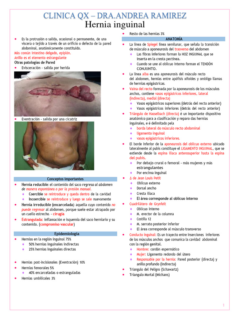 Hernia Inguinal 1 | PDF | Abdomen | Examen físico