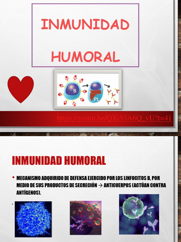 6. INMUNIDAD HUMORALULT | PDF | Anticuerpo | Sistema complementario
