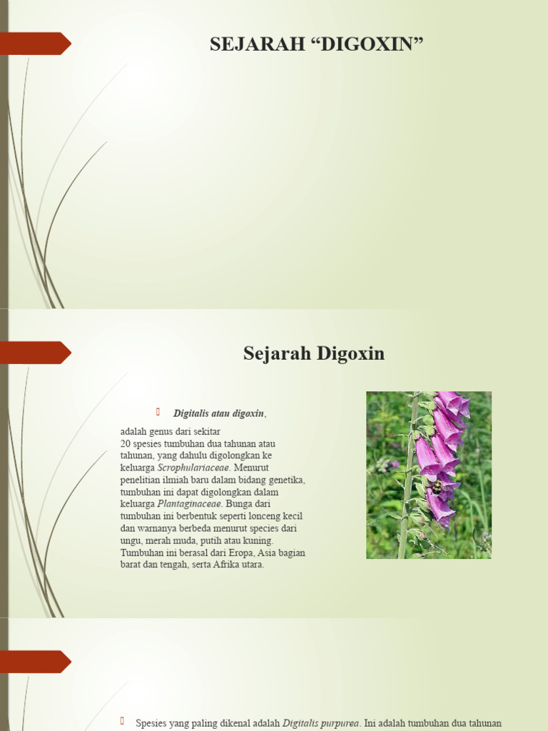 Sejarah dan Khasiat Digoxin | PDF