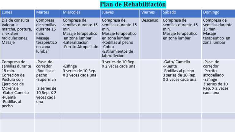 Plan de Rehabilitacion | PDF