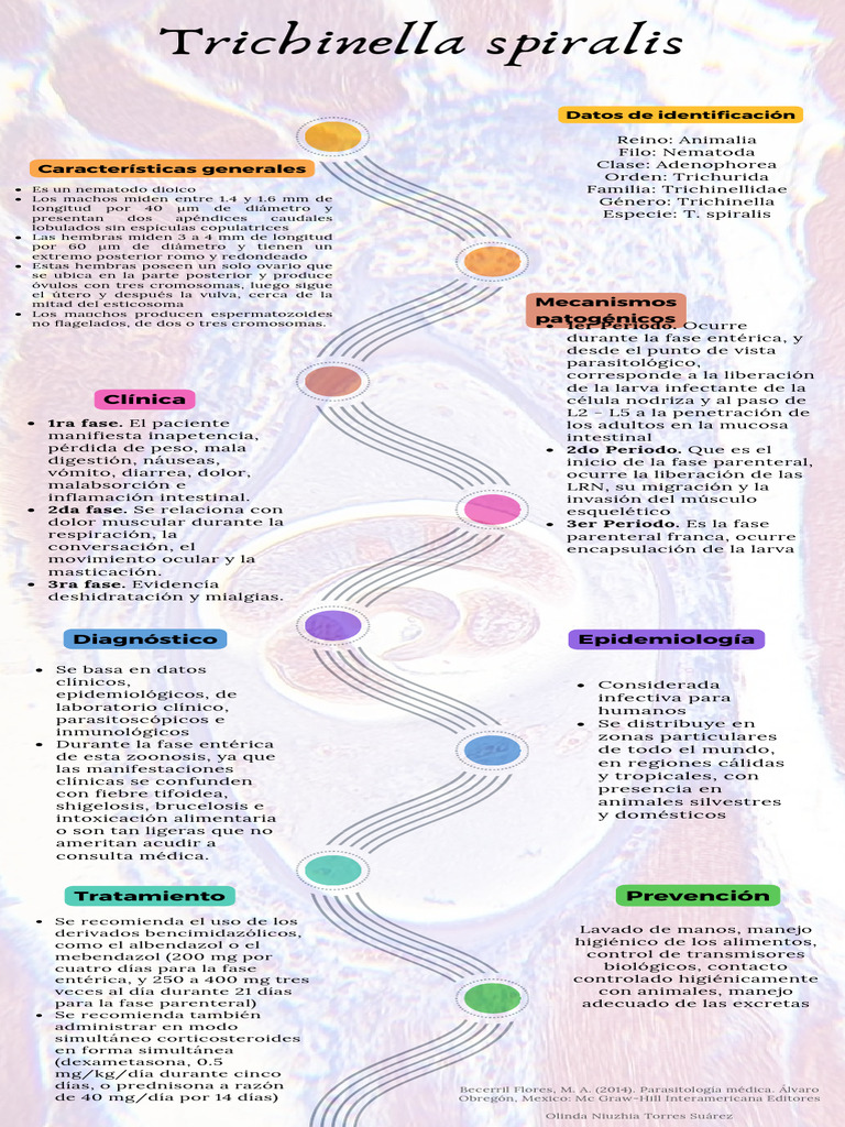 Trichinella spiralis: Identificación y Tratamiento | PDF | Medicina ...