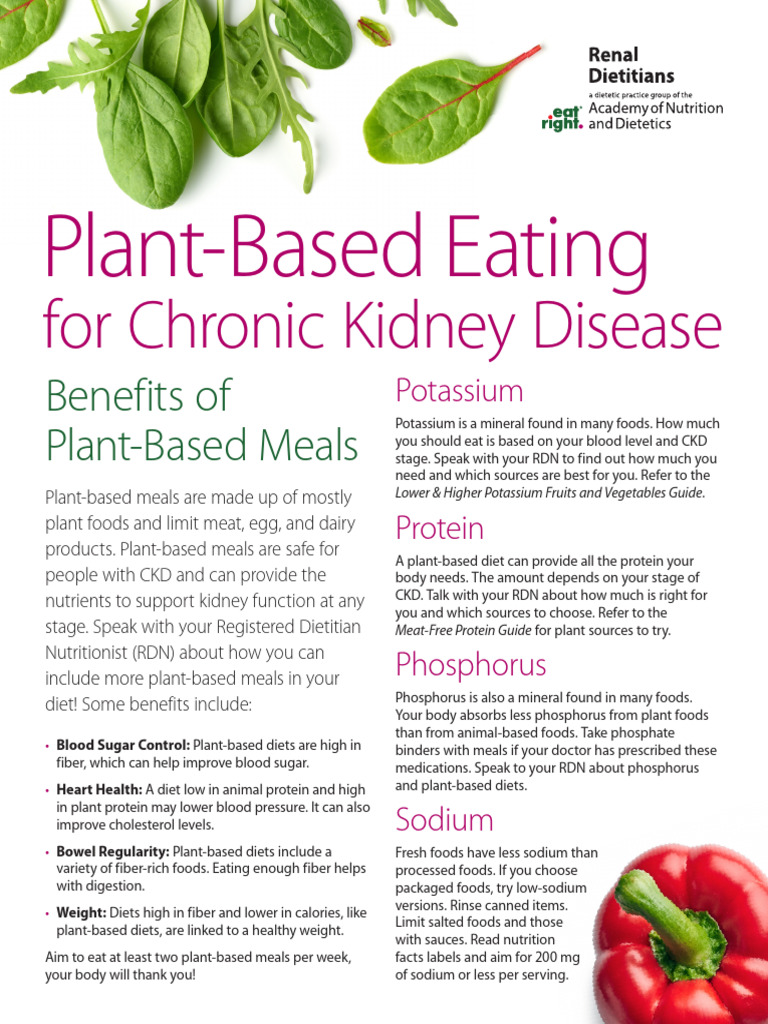 Plant Based CKD FINAL | PDF | Chronic Kidney Disease | Tofu