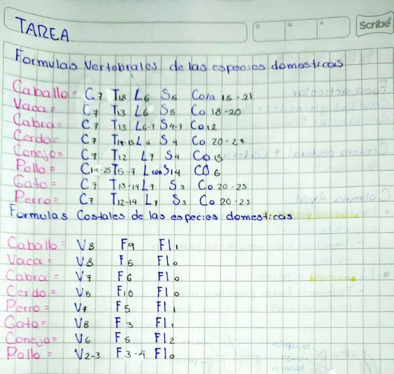 Tarea Formula Vertebral y Costal | PDF Tarea Formula Vertebral y Costal | PDF