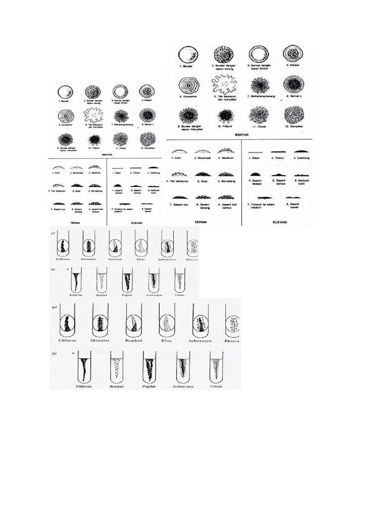 gambar-pdf