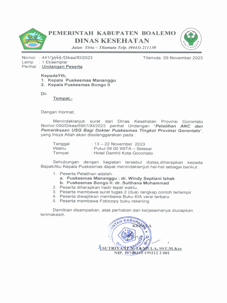 Pelatihan Anc Dan Pemeriksaan Usg | PDF