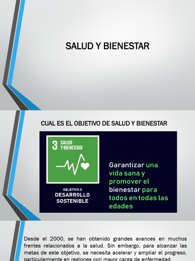 Salud Y Bienestar Pdf Salud Pública