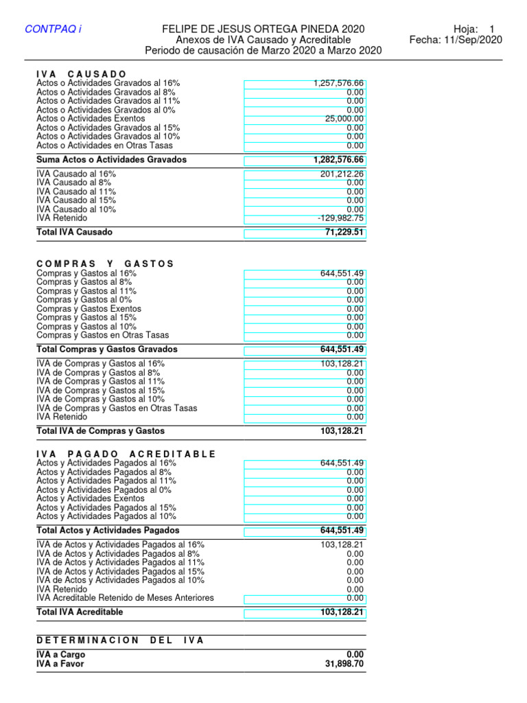 Anexos de IVA Causado y Acreditable | PDF | Impuesto al valor agregado ...