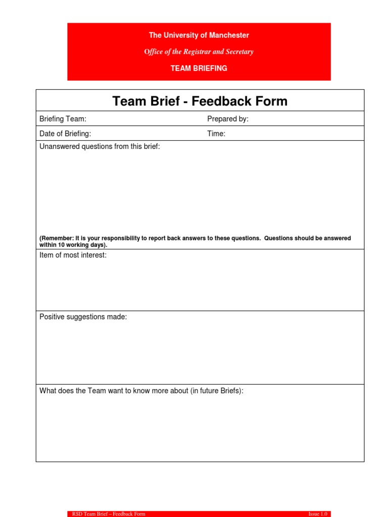Example Briefing Feedback Template | PDF