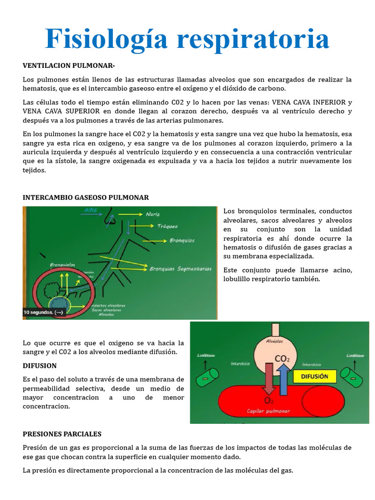 Fisiologia Respiratoria Guyton | PDF | Pulmón | Vena