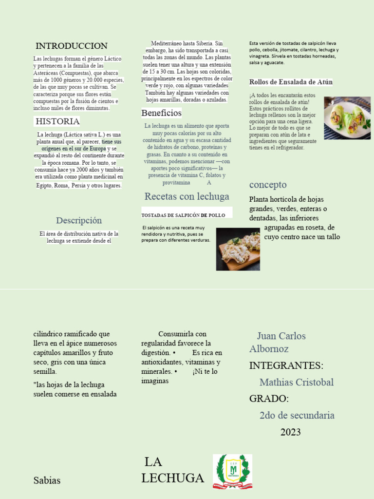 Triptico Del Dia Del Logro | PDF | Lechuga | ensalada