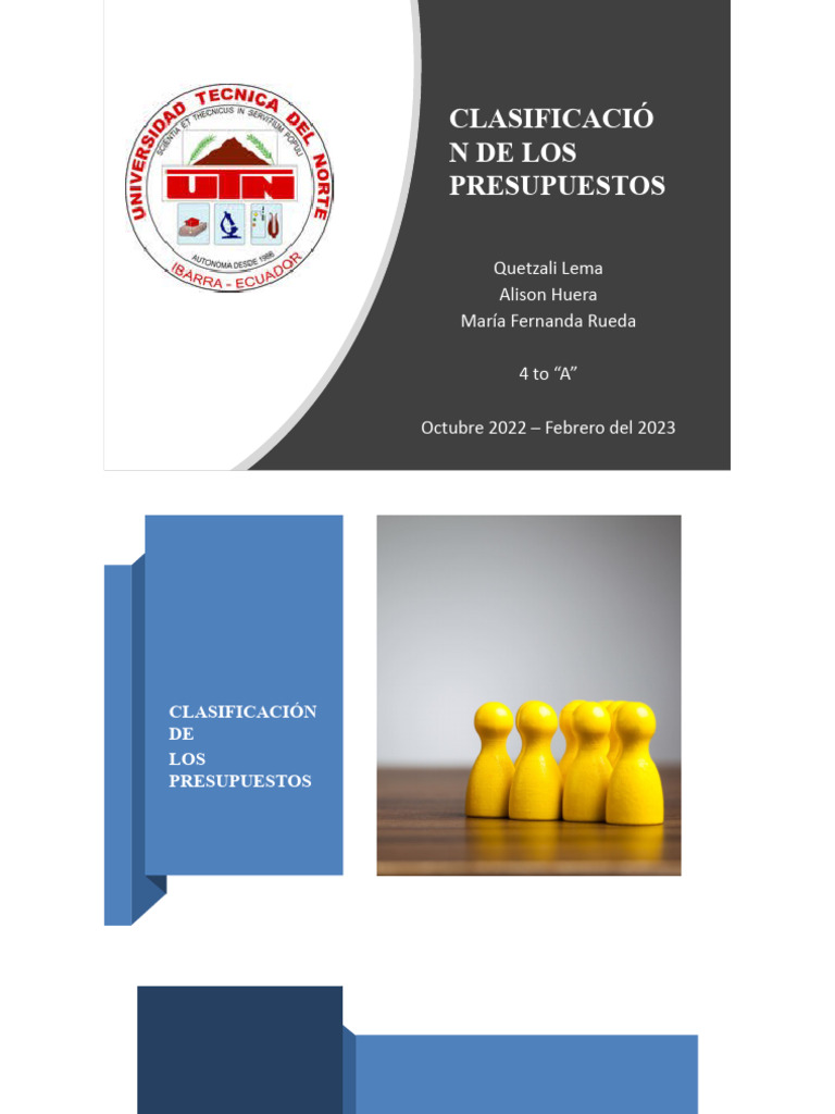 CLASIFICACIÓN DE LOS PRESUPUESTOS - Rueda | Descargar gratis PDF | Presupuesto | Business