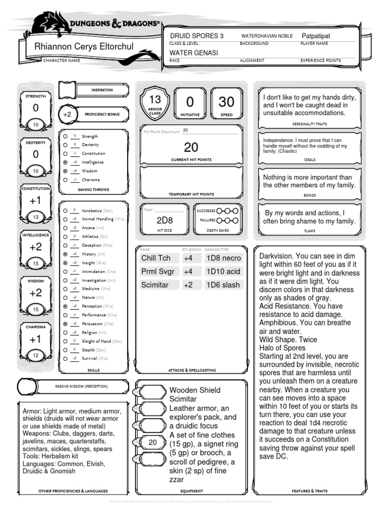 Example of D&D Character Sheet | PDF