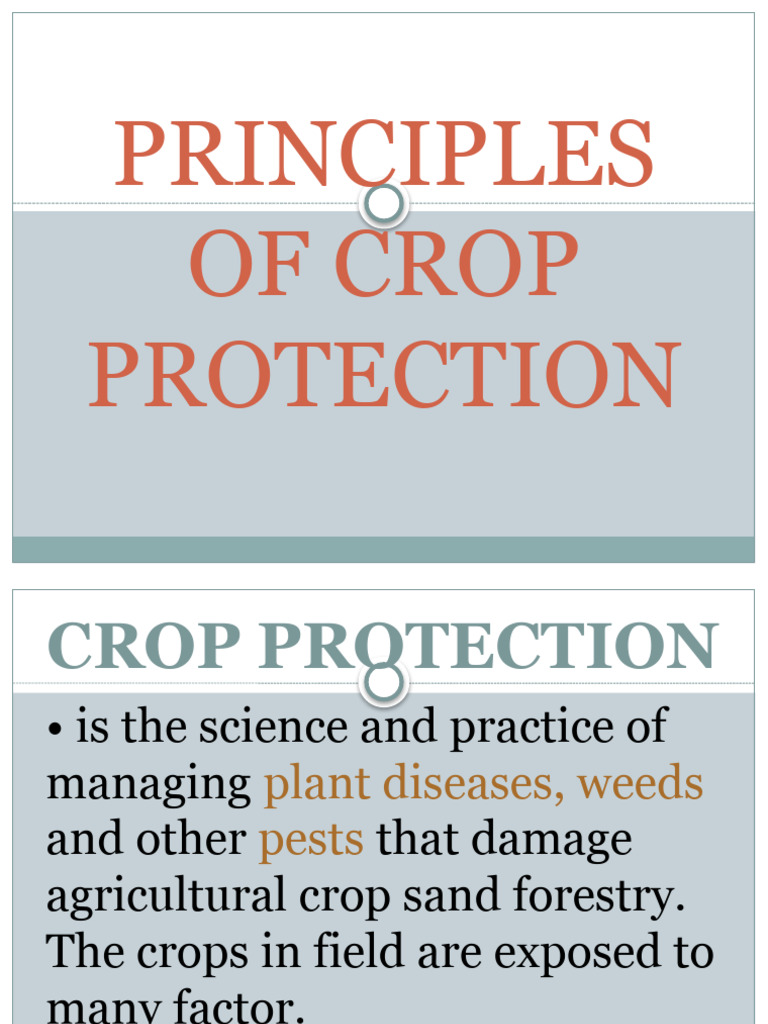 Crop Protection Essentials | PDF | Pest (Organism) | Agriculture
