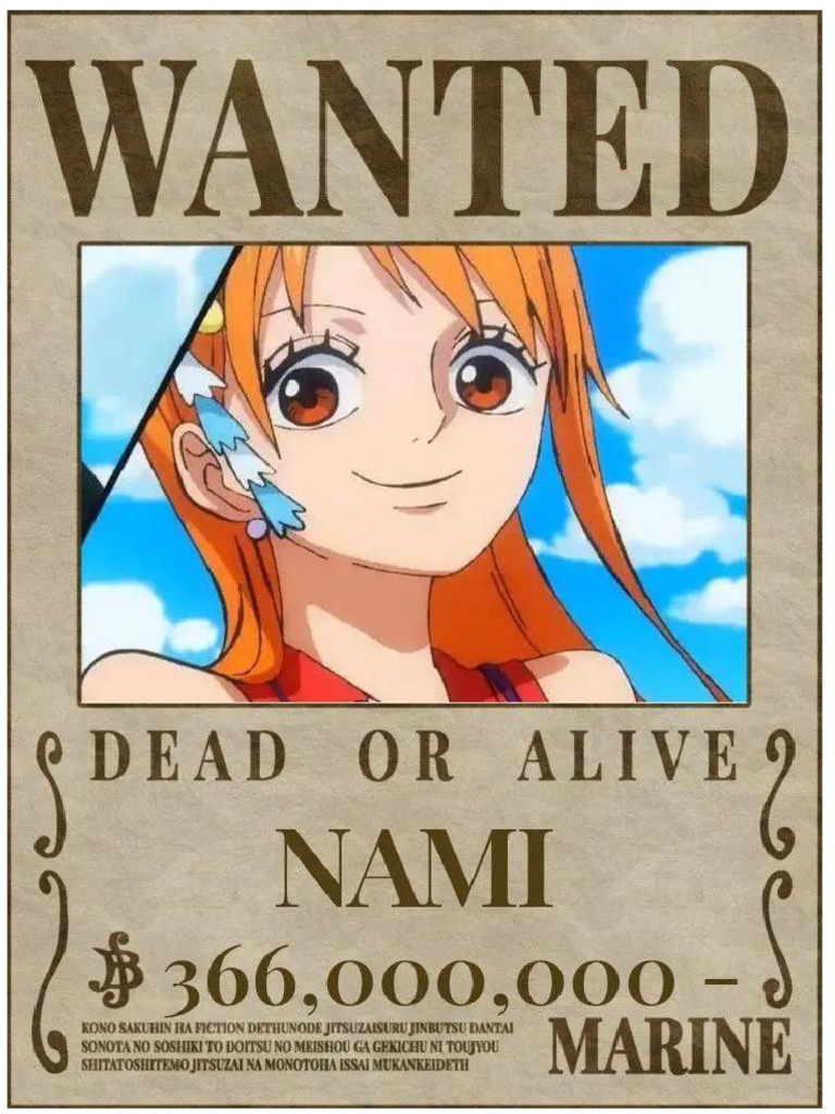 One Piece Bounty Posters | PDF