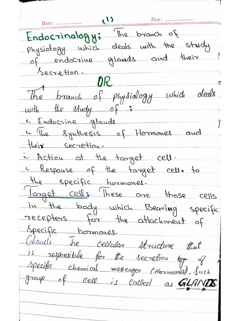 4 Samester Endocrinology | PDF