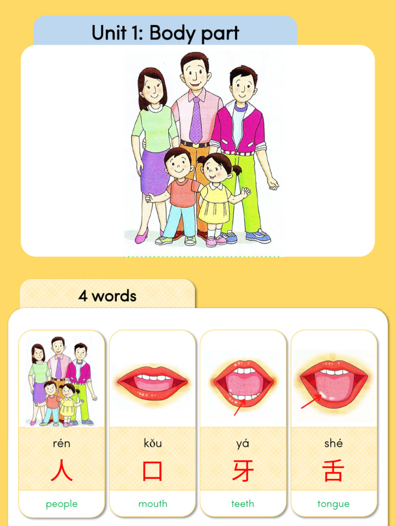 Chinese Body Parts and Assignments | PDF | Language Arts & Discipline
