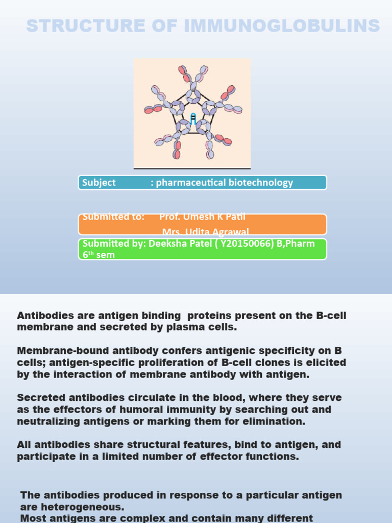 Y20150066 Structure of Immunoglobulins Deeksha Patel-1 | PDF | Antibody ...