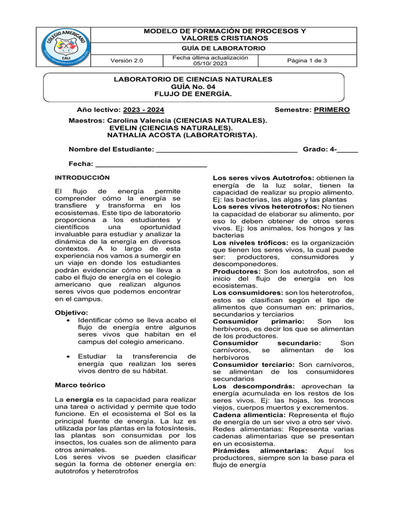 GUÍA No. 04 FLUJO DE ENERGÍA. | PDF | Red alimentaria | Naturaleza