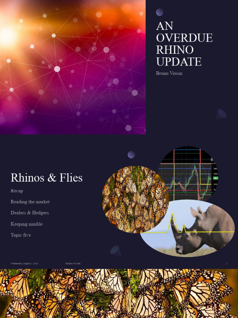 A Rhino Update (Aug '23) | PDF | Greeks (Finance) | Hedge (Finance)