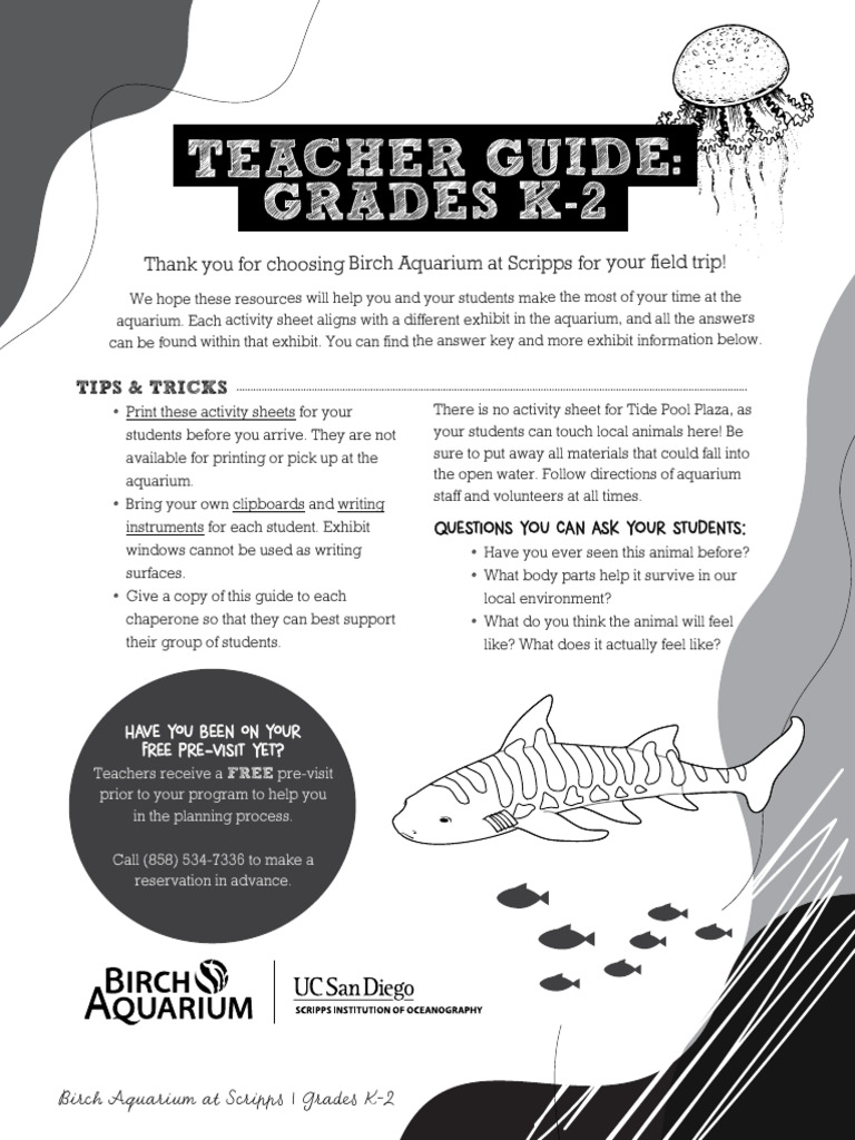 K-2 Teacher Guide_0 | PDF | Sharks | Fish
