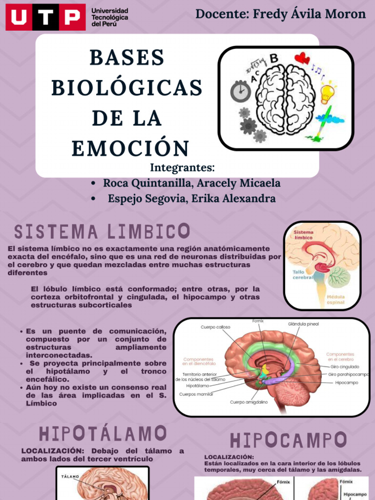 S12..s1-BASES BIOLÓGICAS DE LA EMOCIÓN | PDF