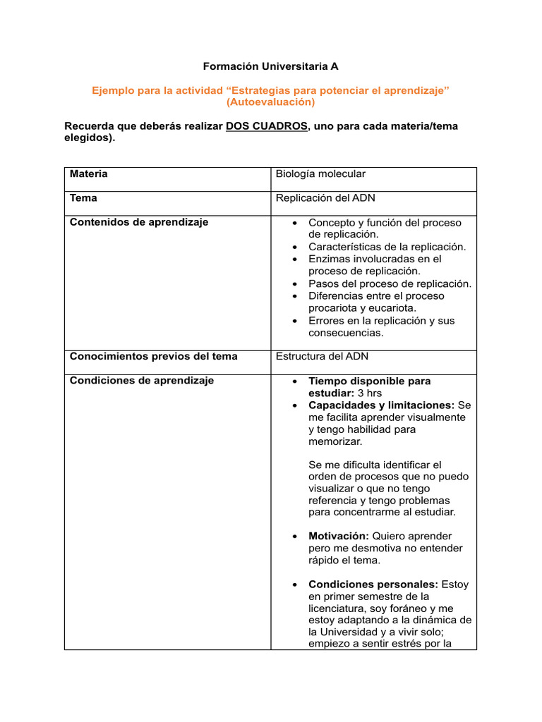 EJEMPLO "Estrategias para Potenciar El Aprendizaje" | PDF