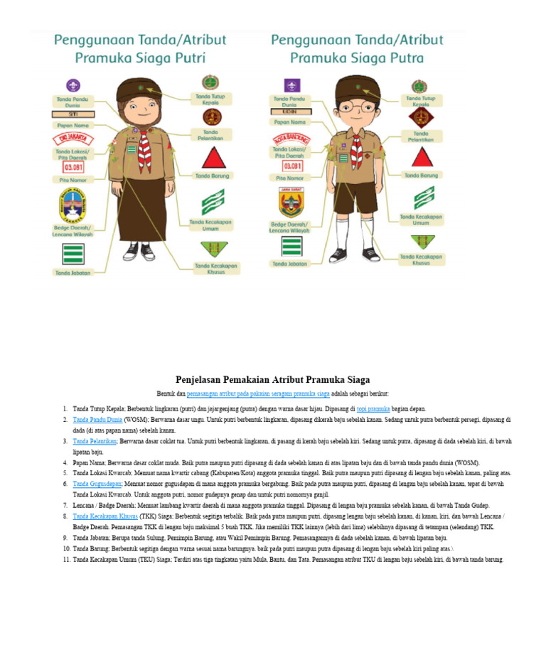 Panduan Atribut Pramuka Siaga | PDF