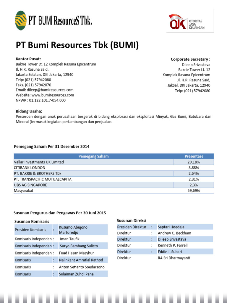 Bumi Resources | PDF