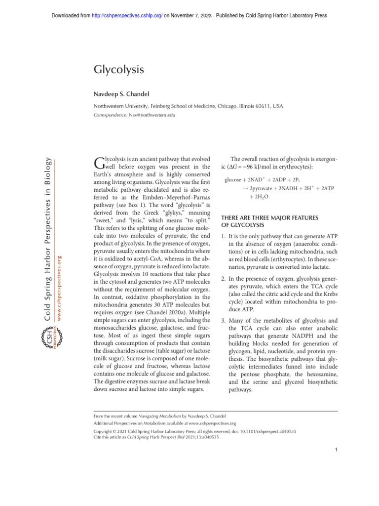 Cold Spring Harb Perspect Biol-2021-Chandel-a040535 | PDF | Glycolysis | Adenosine Triphosphate