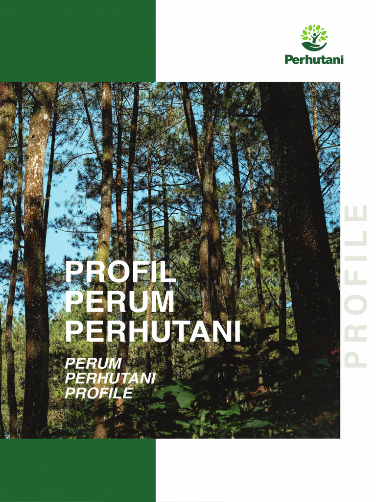 Compro Cetak 2022 After Merger | PDF