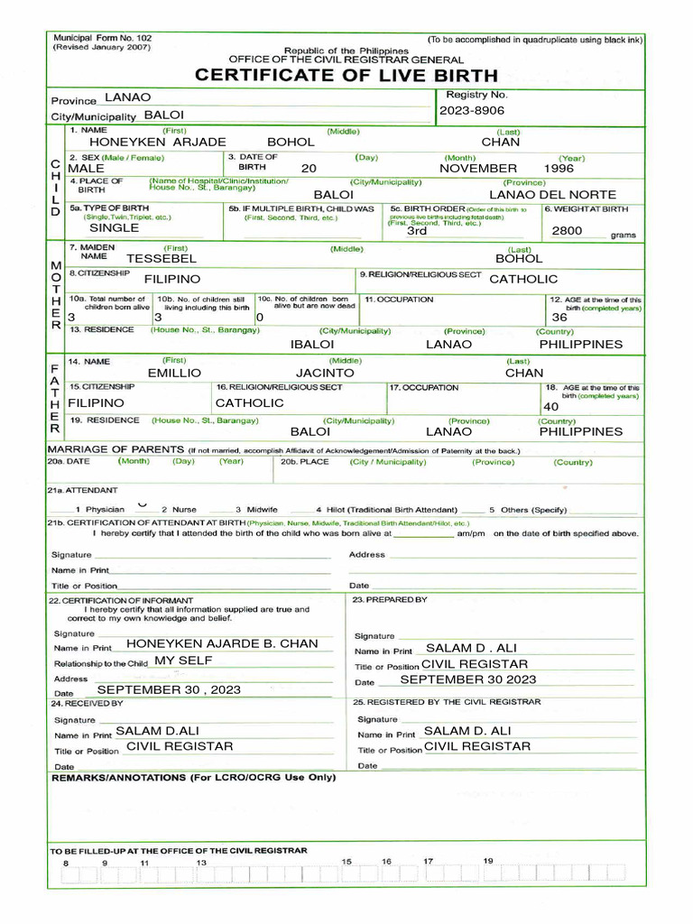 Municipal Form 102 | PDF