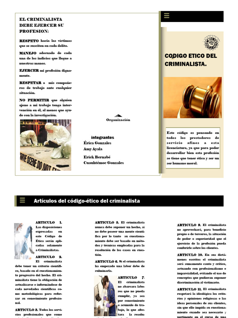 AMY ALEJANDRA AYALA AGUILAR - 27254 - Assignsubmission - File - BGVY | PDF