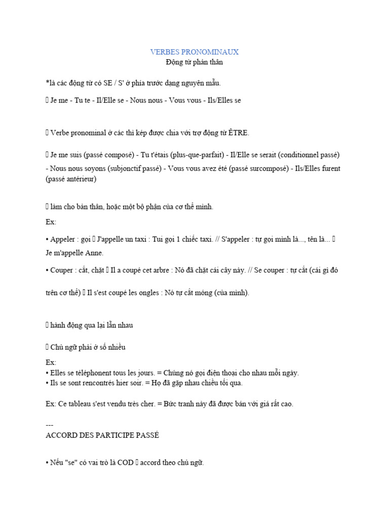 Verbes Pronominaux | PDF