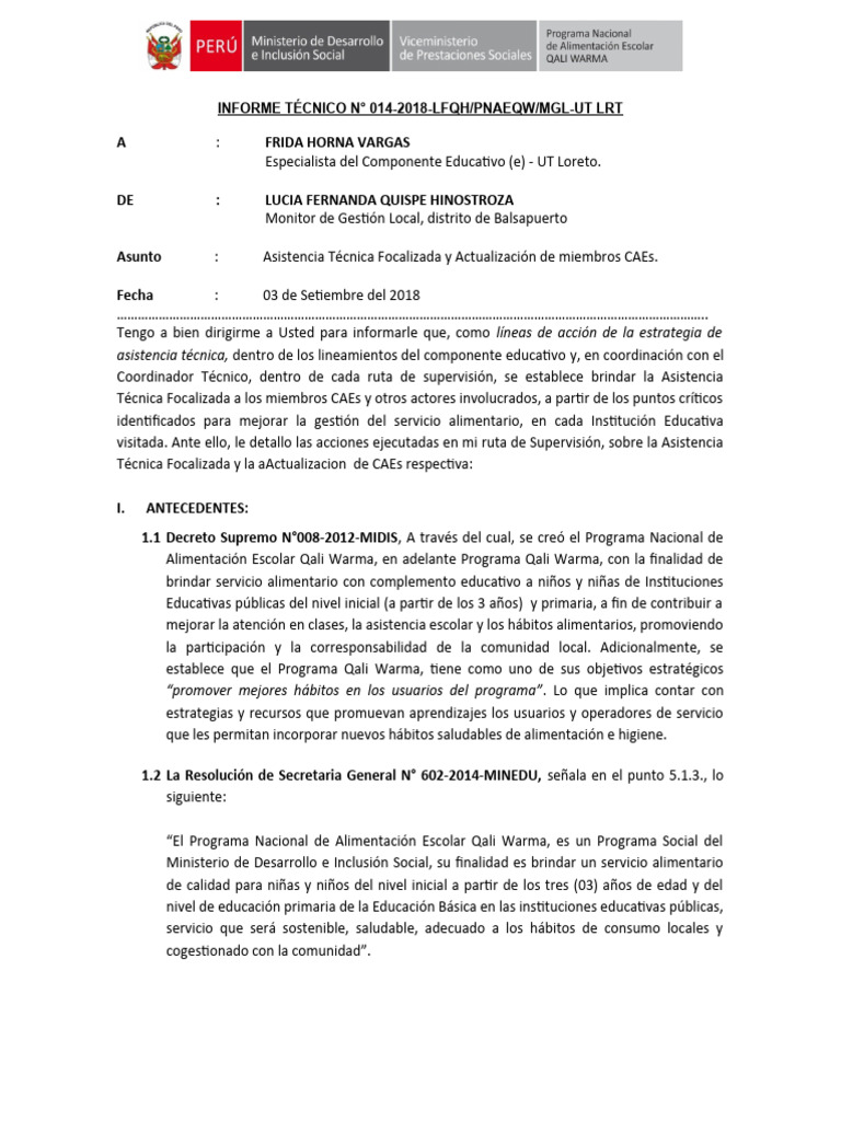 Informe de Asistencia Tecnica AGOSTO | PDF | Educación primaria